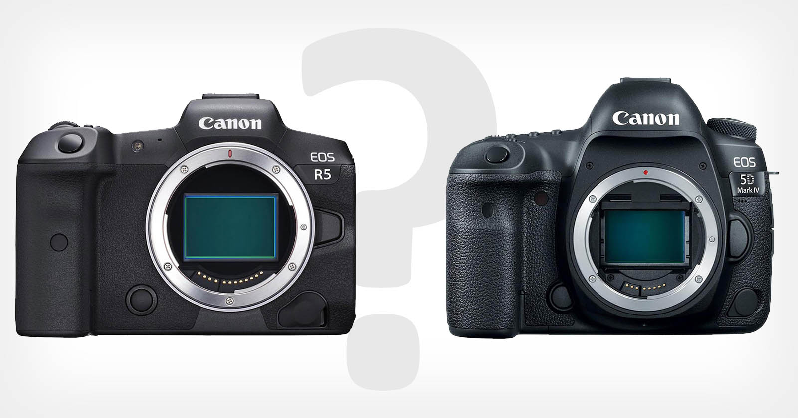Mirrorless or DSLR: Which is Best for Your Next Camera? - Tushita
